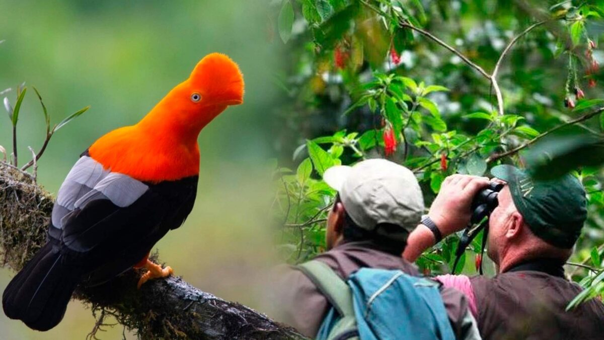 Lugares Turísticos en Quillabamba y alrededores